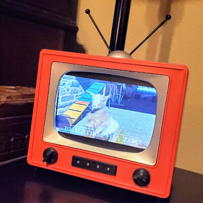 Raspberry Pi Random Goat TV | Pi Lab